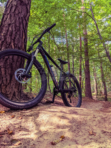 夏季的MTB自高清图片下载-正版图片504509418-摄图网