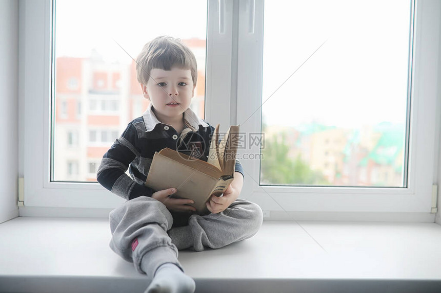 小男孩正在看书高清图片下载-正版图片504626845-摄图网
