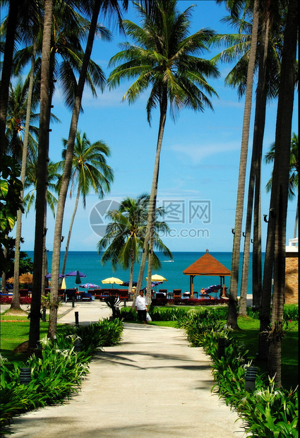 泰国高清图片下载-正版图片504652955-摄图网