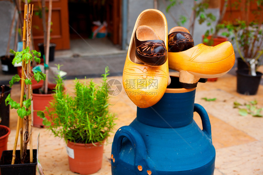 一对Astur高清图片下载-正版图片504697980-摄图网