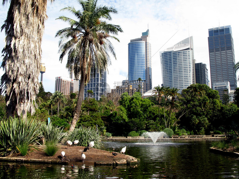 悉尼澳大利亚高清图片下载-正版图片504734343-摄图网