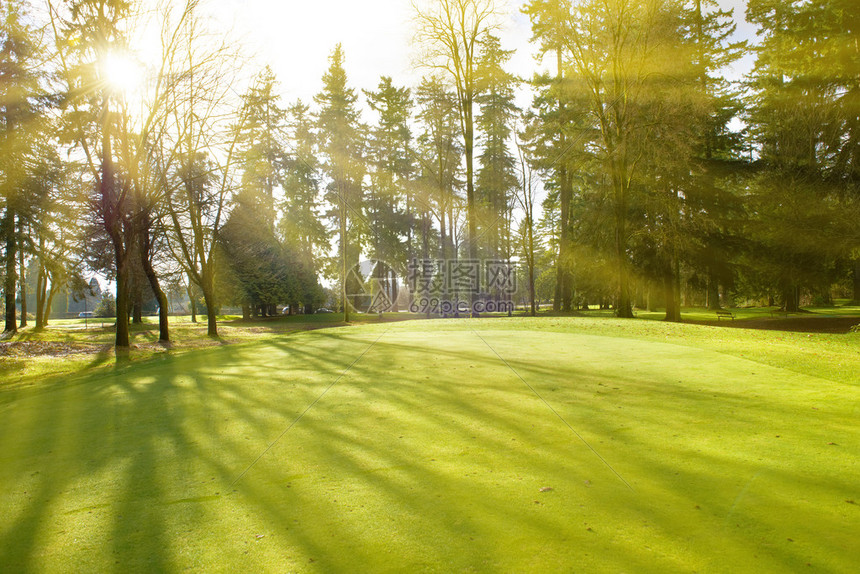 绿草地公园有树高清图片下载-正版图片504757752-摄图网