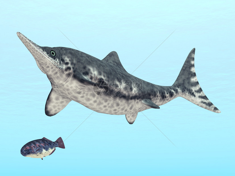 计算机用Ichthyosaur蛋白质立体图解生成高清图片下载-正版图片504767735-摄图网