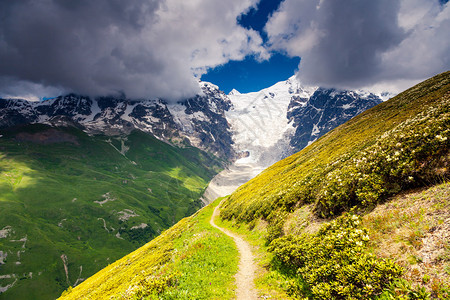 Tetnuldi冰川脚下的高山草甸的美丽景色上斯瓦涅季高清图片下载-正版图片504822434-摄图网