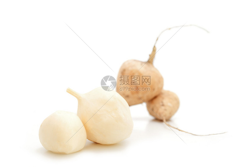 白色背景的Jicama孤高清图片下载-正版图片504858154-摄图网