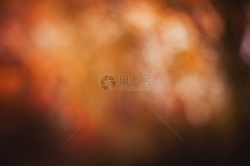 用于背景的模糊的高清图片下载-正版图片504982351-摄图网