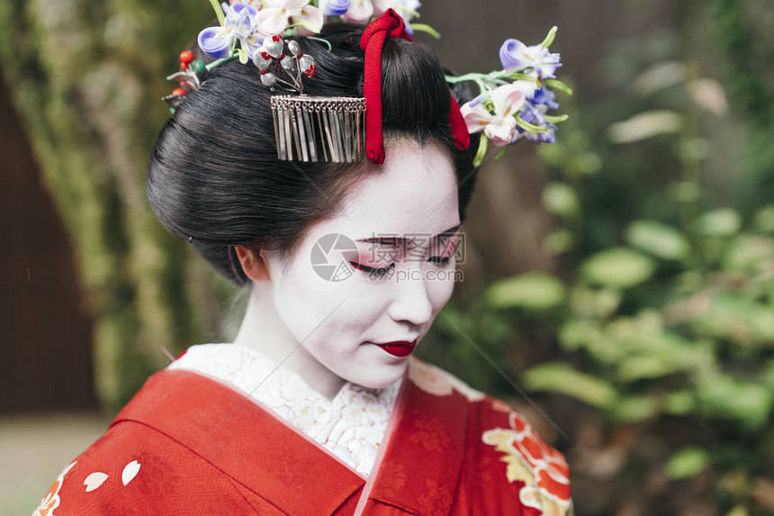 Maiko艺妓在京高清图片下载-正版图片504995201-摄图网