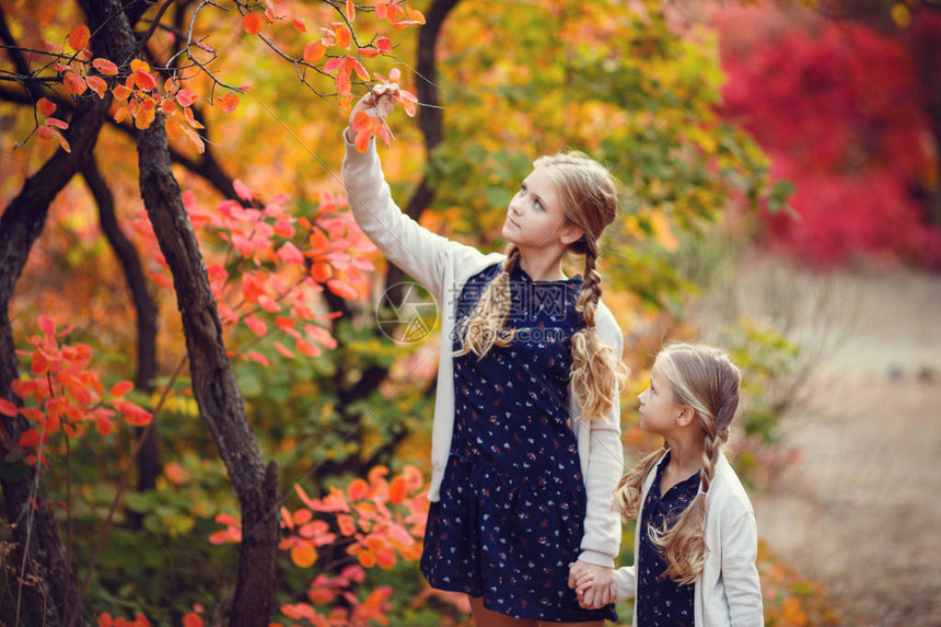 两个快乐的姐妹在高清图片下载-正版图片505004006-摄图网