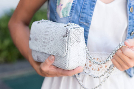 穿着墨镜和豪华的手持蛇皮松式手提包SnakskinP高清图片下载-正版图片504975155-摄图网