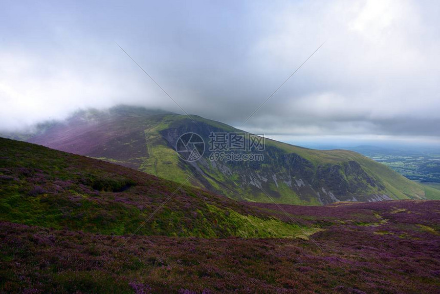 Bakestall和Skidd高清图片下载-正版图片505052093-摄图网