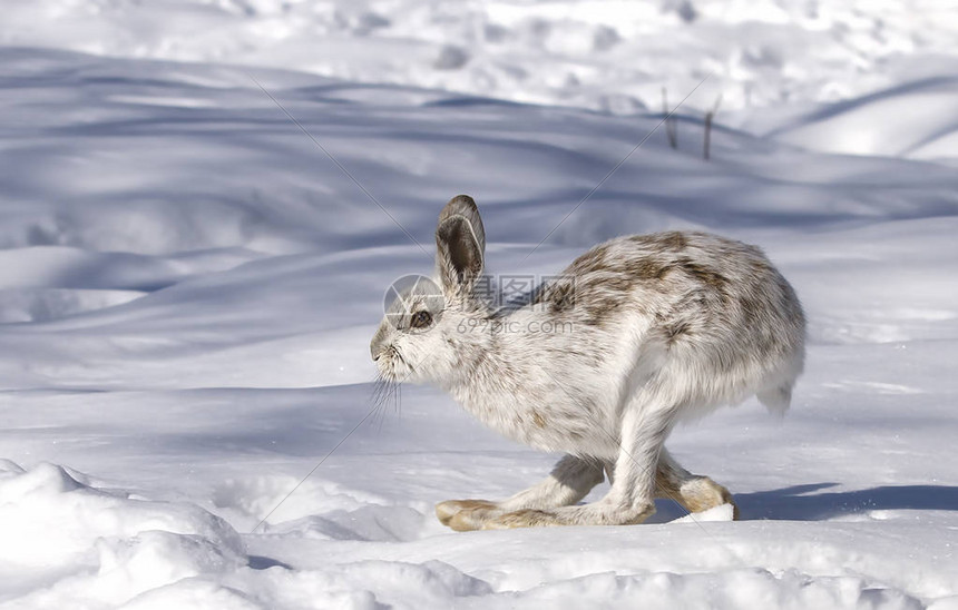 harre美国西部高清图片下载-正版图片505060001-摄图网