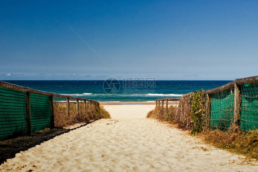 通往澳大利亚昆士兰黄金海岸宁静海滩的小径高清图片下载-正版图片505073354-摄图网