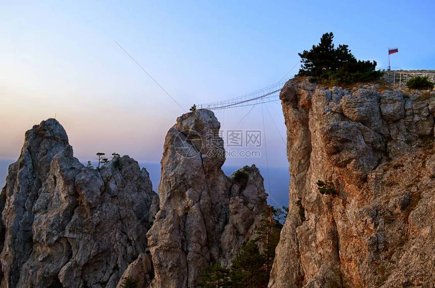 在克里米亚的AIPet高清图片下载-正版图片505083718-摄图网