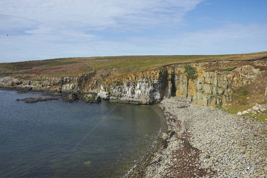 福克兰群岛Bleaker岛海岸线沿的草地和环色多高清图片下载-正版图片505086247-摄图网