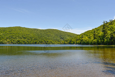 芬兰赛马湖的狗高清图片下载-正版图片505467468-摄图网