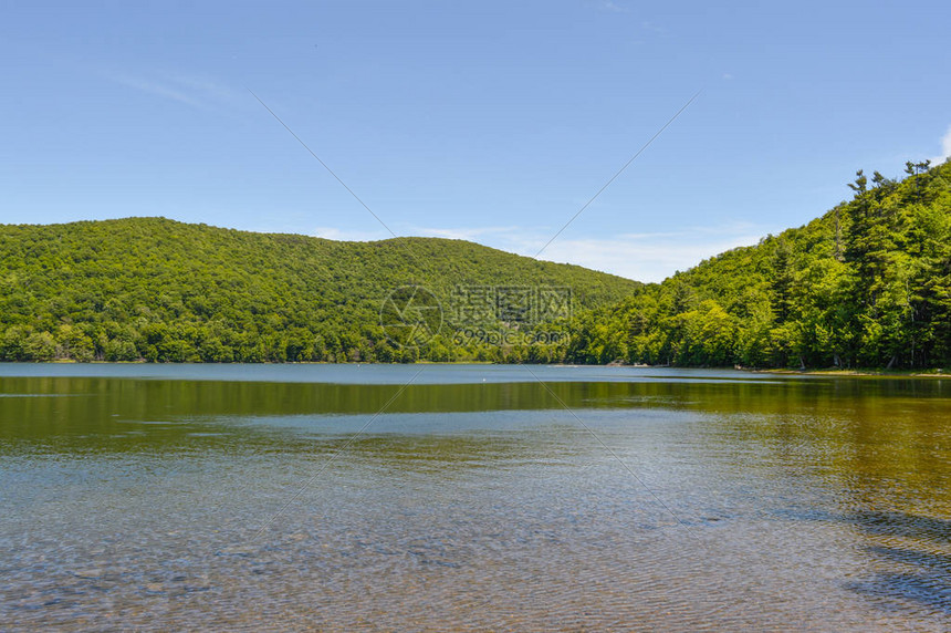 加拿大河和春林的自然构成高清图片下载-正版图片505163866-摄图网