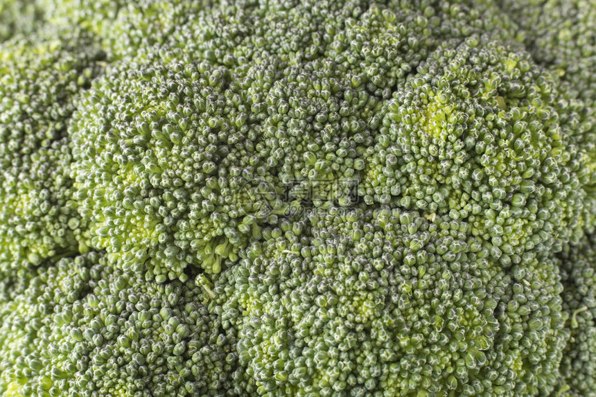 近距离接近了布拉高清图片下载-正版图片505202825-摄图网