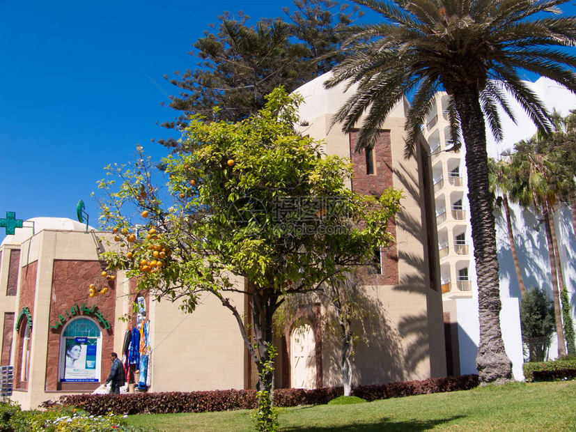 在Maro高清图片下载-正版图片505227387-摄图网