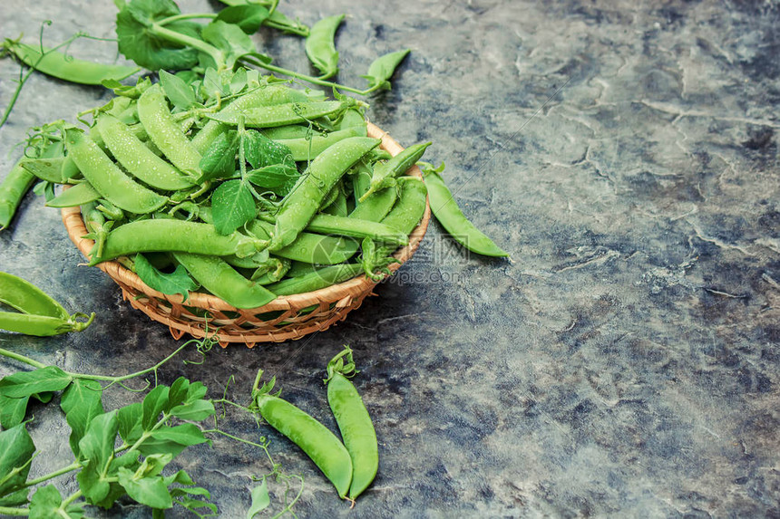 豌豆绿选择焦点高清图片下载-正版图片505255200-摄图网