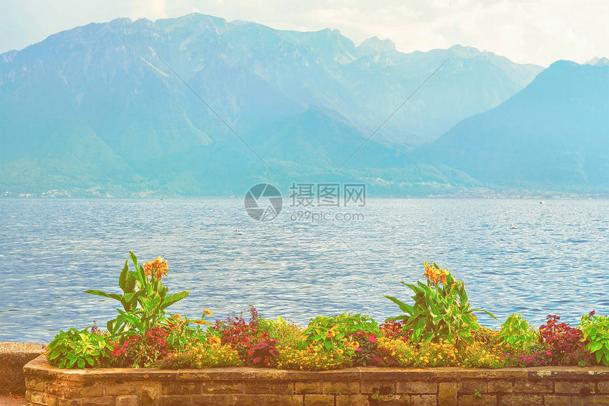 瑞士沃州Vaud县Vavey的高清图片下载-正版图片505269118-摄图网