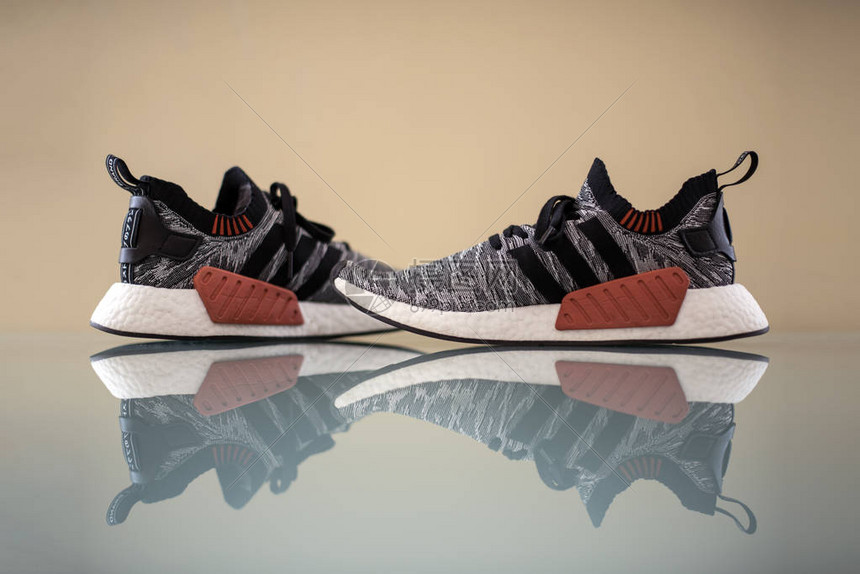 室内Adidas高清图片下载-正版图片505291100-摄图网