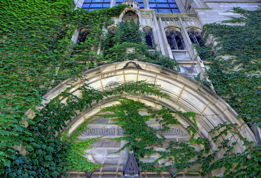 美国伊利诺伊州芝加哥高清图片下载-正版图片505327415-摄图网