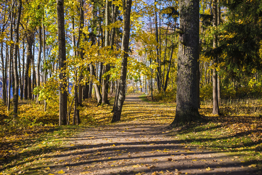 拉脱维亚科恩斯Koknese的明日多彩高清图片下载-正版图片505328977-摄图网