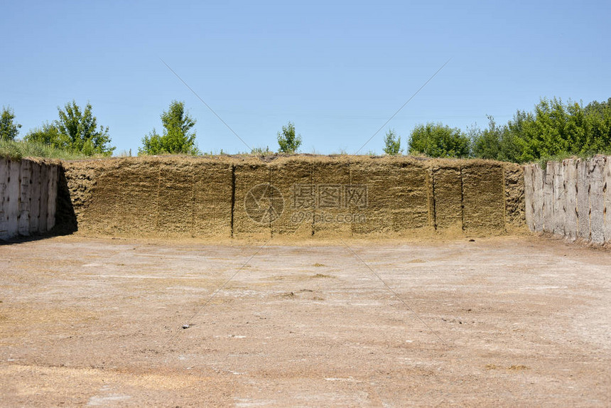 苏联后领土上农场上的典型干草储高清图片下载-正版图片505334007-摄图网