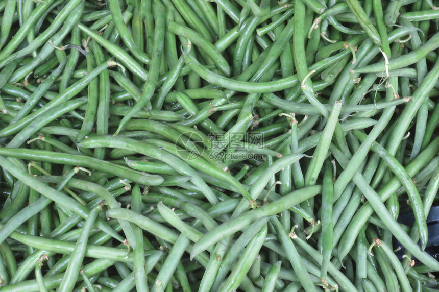 菜盒绿tegoline高清图片下载-正版图片505364185-摄图网