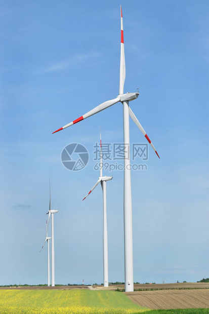 塞尔维亚Alibunar高清图片下载-正版图片505384442-摄图网