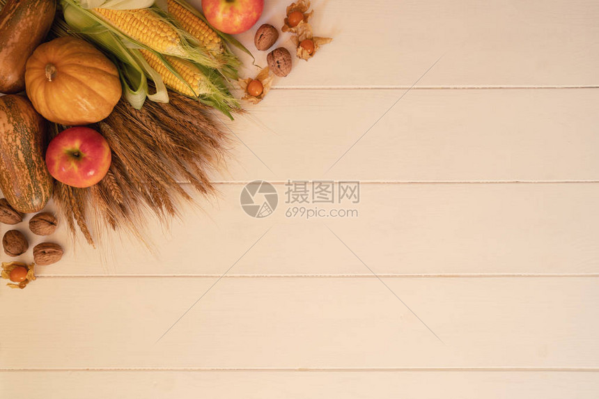 感恩节背景高清图片下载-正版图片505400696-摄图网