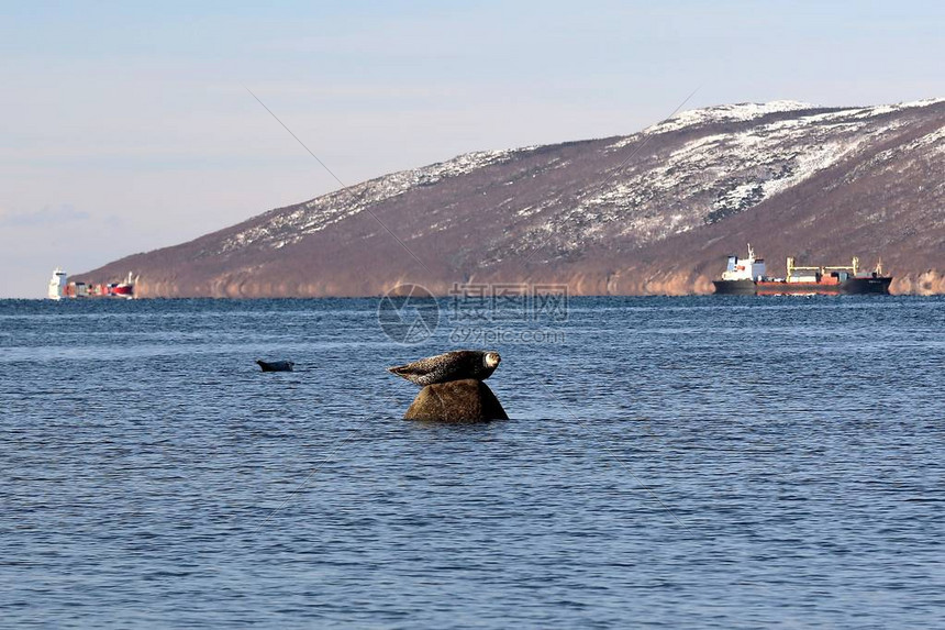 Magadan及其海湾Nagaev和Gert高清图片下载-正版图片505487298-摄图网