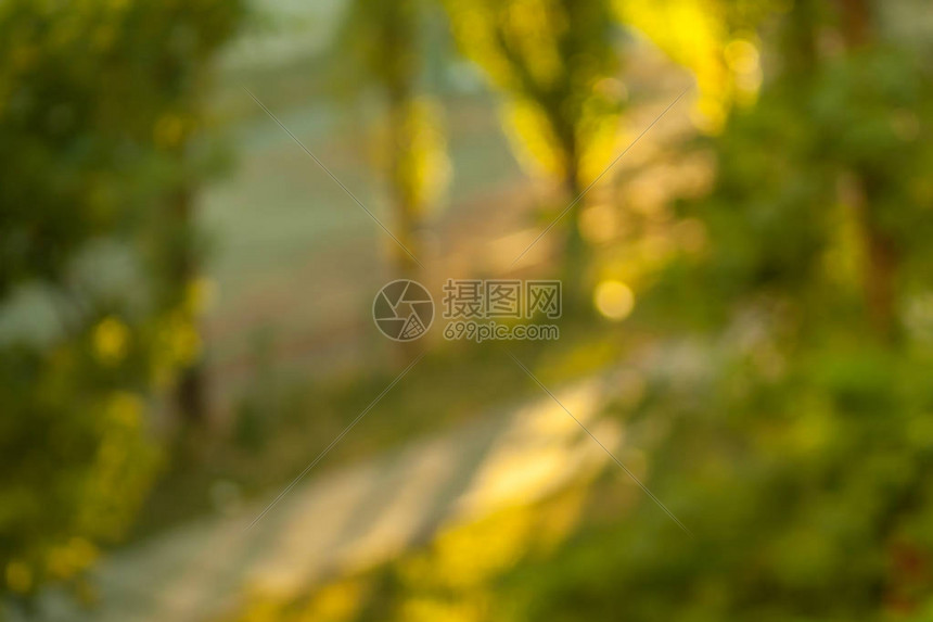 模糊的自然壁纸高清图片下载-正版图片505546550-摄图网
