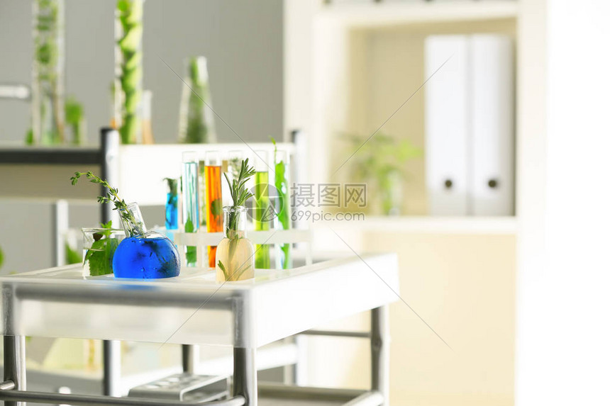 实验室货架上装有植物和液高清图片下载-正版图片505553958-摄图网