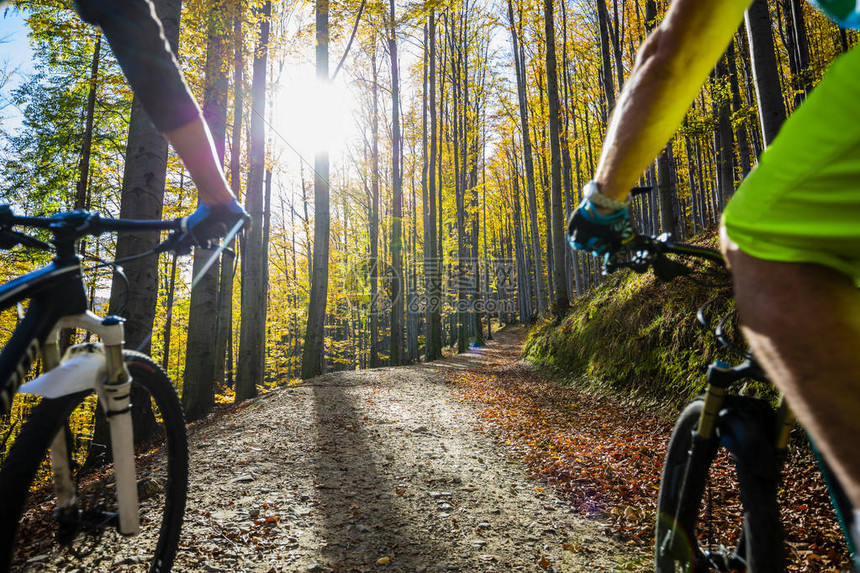 贝斯基迪山森林景观秋天的男女赛车手夫妇骑着MTB内特罗轨道高清图片下载-正版图片505584305-摄图网