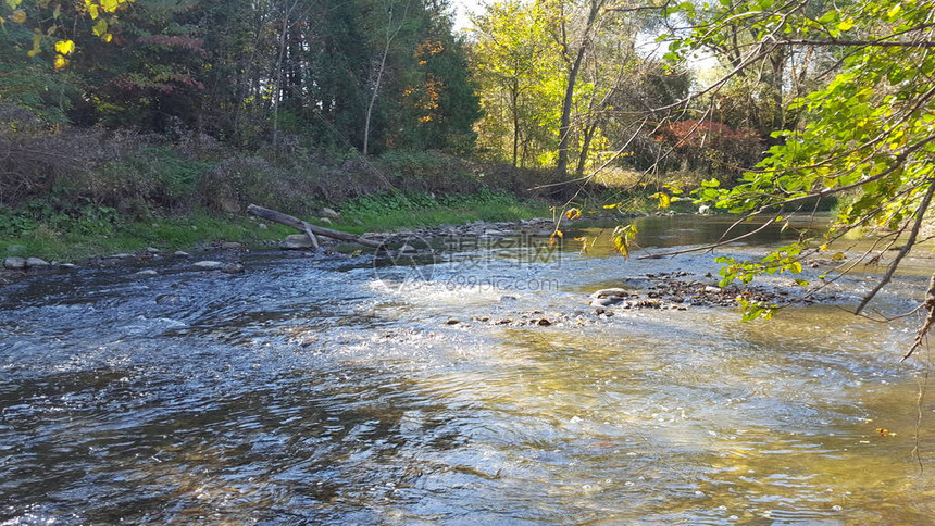 加拿大北美秋天河秋季风高清图片下载-正版图片505596686-摄图网