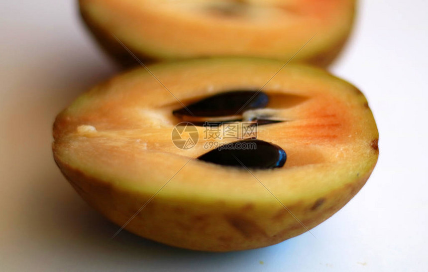 Manilkara高清图片下载-正版图片505621958-摄图网