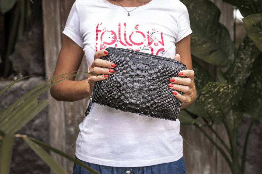 时髦的女手拿着奢侈的蛇皮松高清图片下载-正版图片505661400-摄图网
