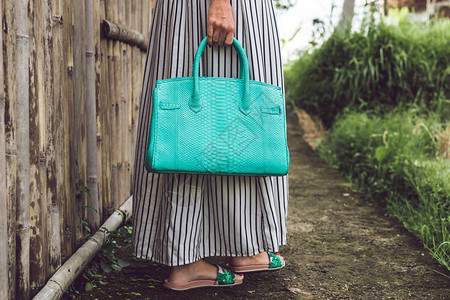 年轻女手持时髦的奢侈品蛇皮松手提包高清图片下载-正版图片505753219-摄图网