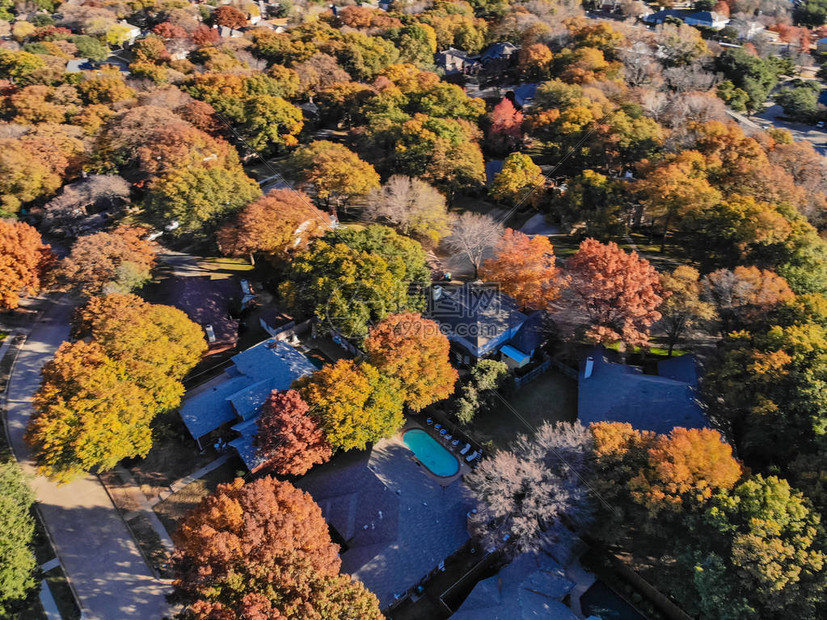 美国得克萨斯州FlowerMound的鲜花林附近有多彩的落叶富莱弗一排带花园附属车库和游泳池高清图片下载-正版图片505682794-摄图网