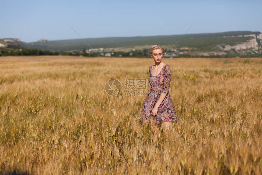 在田野中种植成熟高清图片下载-正版图片505698496-摄图网