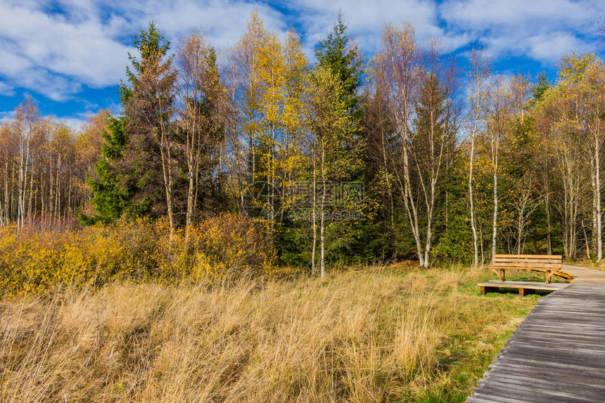 在SchwarzenMoor附近穿过Rhn高清图片下载-正版图片505709814-摄图网
