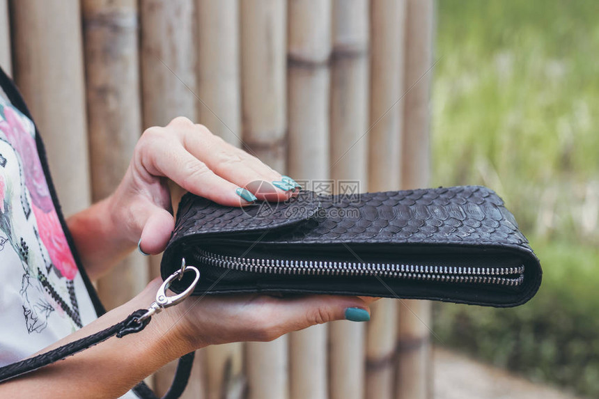 年轻女手持时髦的奢侈品蛇皮松手提包高清图片下载-正版图片505753219-摄图网