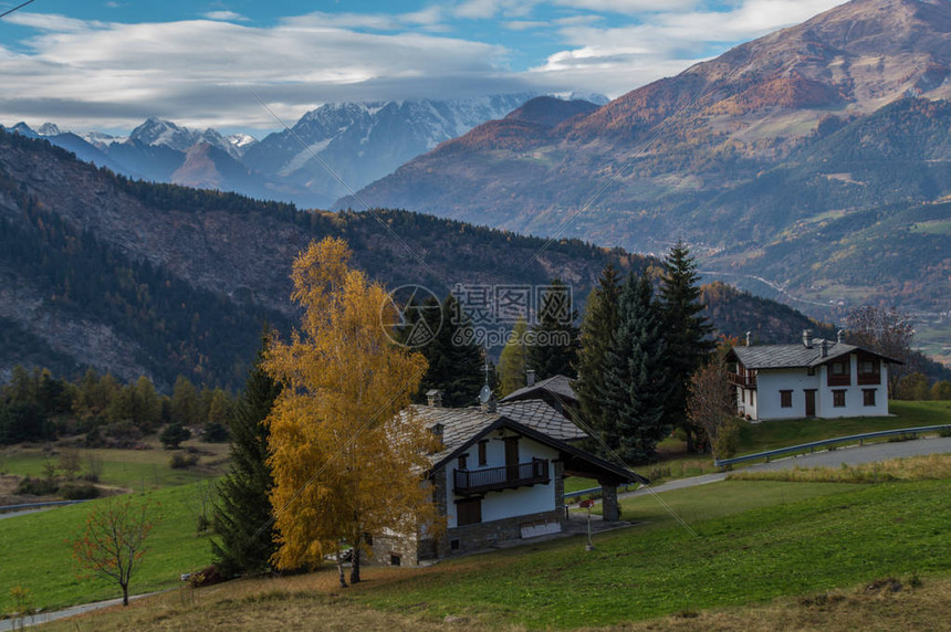 turlin高清图片下载-正版图片505895170-摄图网
