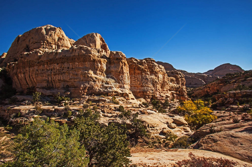 美国犹他州国会珊瑚礁公园Hickman自然桥路沿希克曼自高清图片下载-正版图片505941850-摄图网
