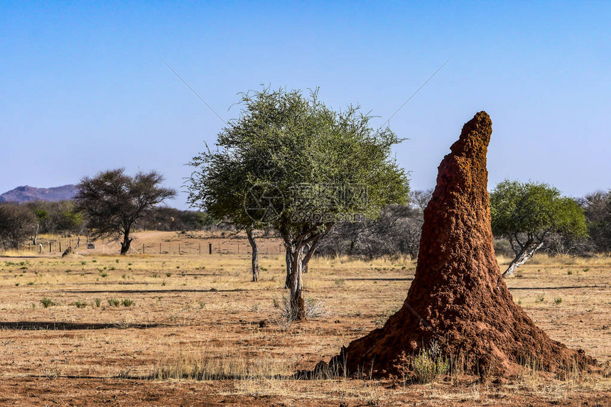 卡拉哈里Kalahari是喀拉哈高清图片下载-正版图片506001630-摄图网
