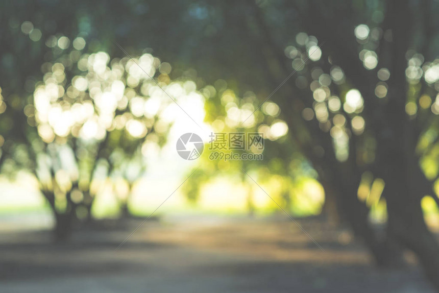 模糊的自然背景高清图片下载-正版图片506018677-摄图网