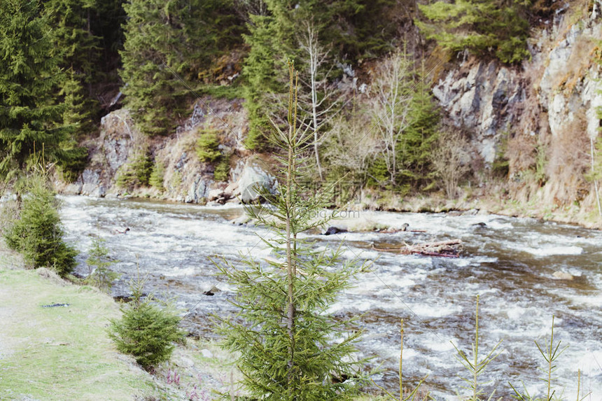 山地河流景观有fir高清图片下载-正版图片506023780-摄图网