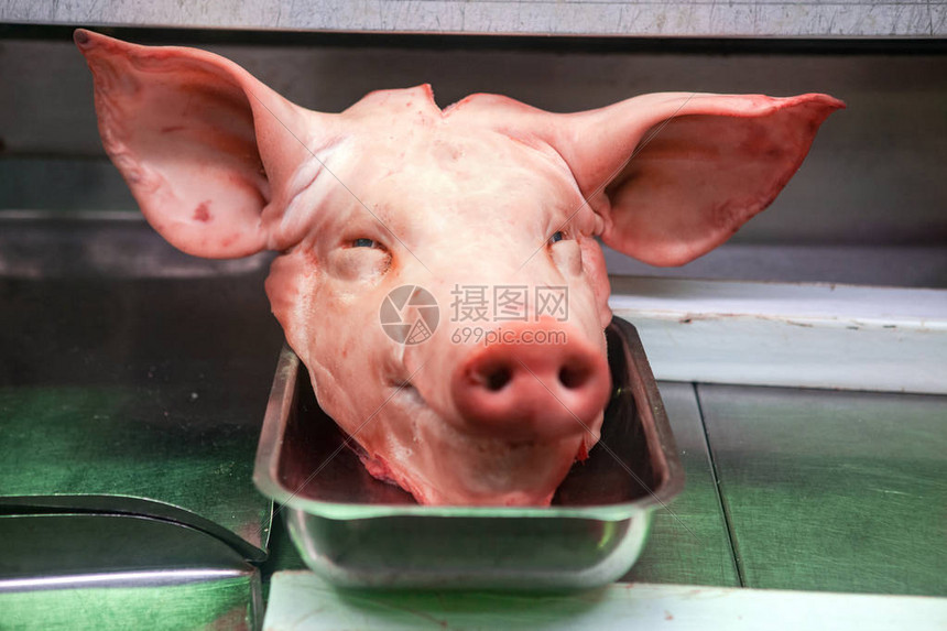猪头躺在肉店里高清图片下载-正版图片506077453-摄图网