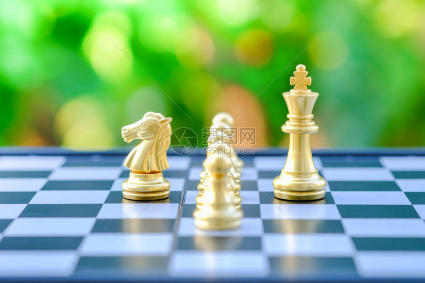 棋盘游戏业务工作和规划概念关闭金骑士和国王棋子在绿色自然高清图片下载-正版图片506162980-摄图网
